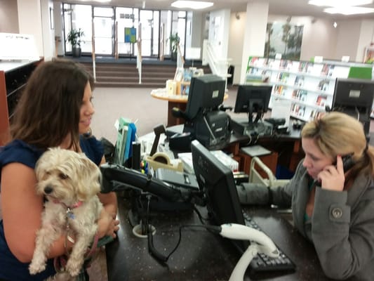 JOHN F. GERMANY PUBLIC LIBRARY - Updated May 2025 - 62 Photos & 38 ...