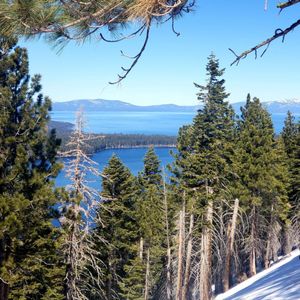 PATTON BEACH - 11 Photos & 13 Reviews - 5002 North Lake Blvd, Carnelian ...