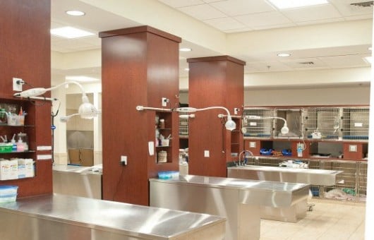 NEW ENGLAND VETERINARY CENTER & CANCER CENTER - Updated January 2025 ...