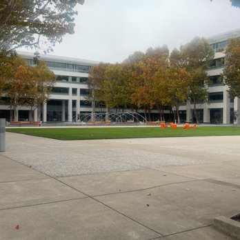 FLOURISH - Updated January 2026 - 134 Photos & 35 Reviews - 6101 ...