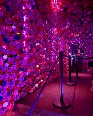 CLUB VIVO - Updated May 2026 - 36 Photos & 62 Reviews - 1930 Pacific ...