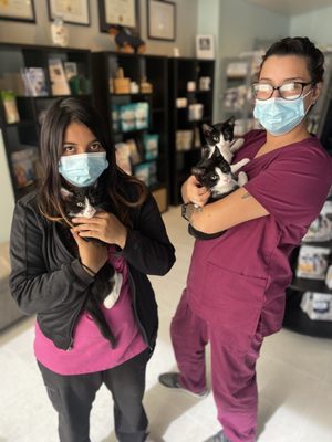 NICHOLS VETERINARY CARE - Updated December 2025 - 47 Photos & 101 ...