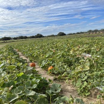 ROCKBERRY RANCH - Updated September 2025 - 159 Photos & 22 Reviews ...