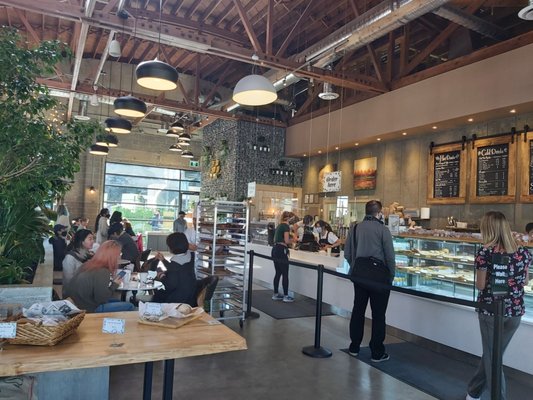 LA BOSCO BAKERY & CAFE - 76 Photos & 20 Reviews - 10413 79 Avenue NW ...