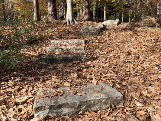 DUNWOODY NATURE CENTER - Updated November 2024 - 73 Photos & 28 Reviews ...