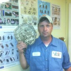 MCDONALD PEST CONTROL - 17 Photos - 2220 10th St SE, Largo, Florida ...