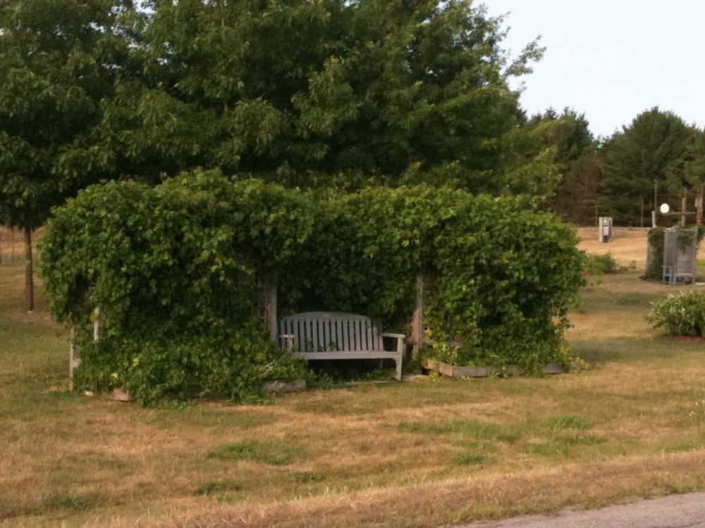 OTTAWA PUBLIC LIBRARY - Updated April 2025 - 3911 Carp Road, Carp ...