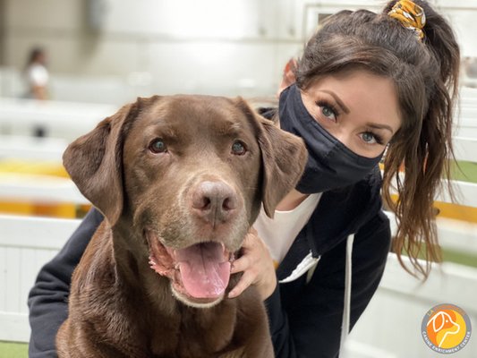 LA DOGWORKS - Updated December 2025 - 41 Photos & 156 Reviews - 1014 N Highland Ave, Los Angeles ...