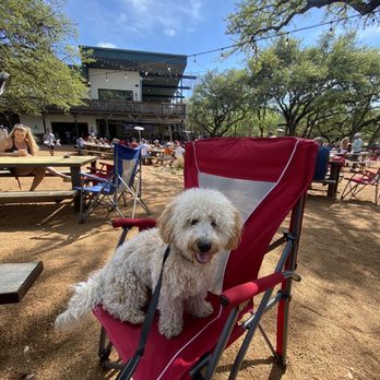 ARMADILLO DEN - Updated July 2024 - 154 Photos & 149 Reviews - 10106 Manchaca Rd, Austin, Texas ...