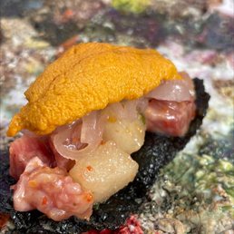 ROBIN - Updated October 2025 - 5159 Photos & 633 Reviews - 620 Gough St ...