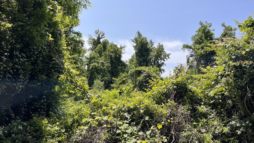 CHRISTOPHER MORLEY PARK - Updated May 2025 - 52 Photos & 30 Reviews ...