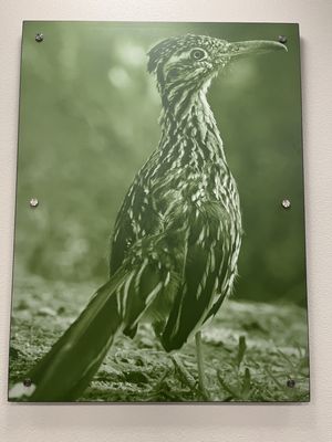 MESA PUBLIC LIBRARY - Updated July 2025 - 141 Photos & 35 Reviews - 64 ...