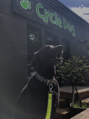 CYCLE DOG - Updated December 2025 - 50 Photos & 32 Reviews - 2056 NW ...