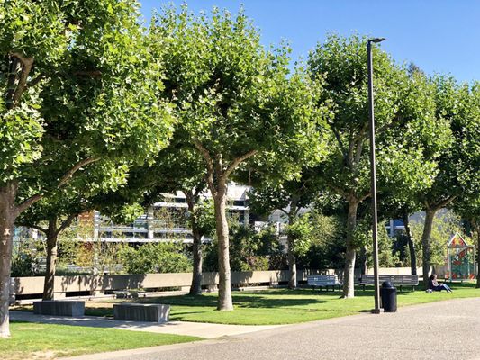 THE EVERGREEN STATE COLLEGE - Updated December 2025 - 101 Photos & 58 ...