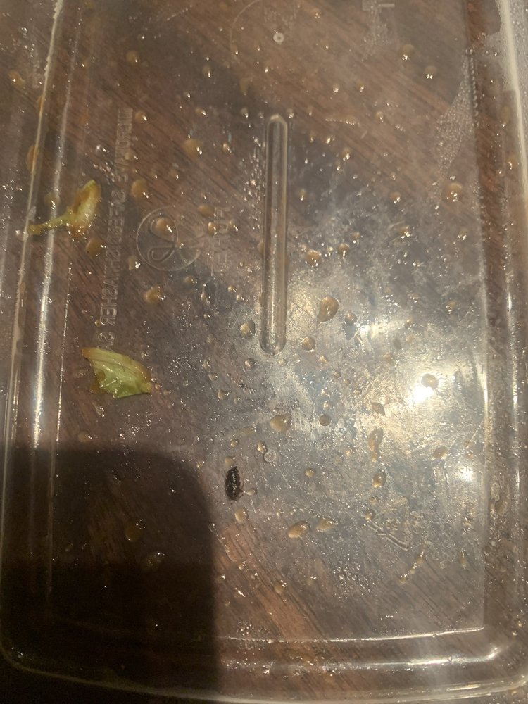 NEW CHINA EXPRESS - Updated July 2025 - 39 Reviews - 3501 Capital Blvd ...