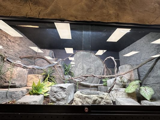 SNAKE DISCOVERY A REPTILE EXPERIENCE - Updated April 2025 - 35 Photos ...