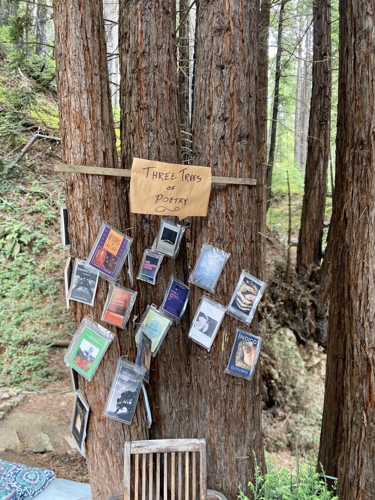 Bookstores - HENRY MILLER MEMORIAL LIBRARY - 134 Photos & 67 Reviews ...