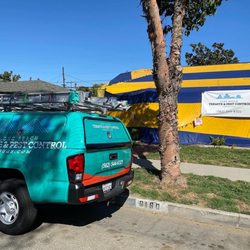 LONG BEACH TERMITE & PEST CONTROL - 69 Photos & 35 Reviews - Long Beach ...