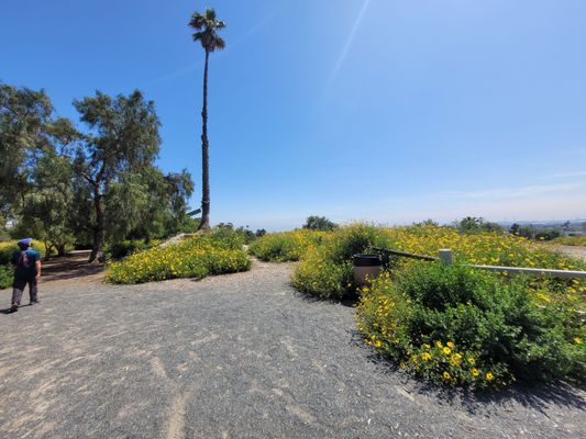 WILLOW SPRINGS PARK - Updated August 2024 - 124 Photos & 15 Reviews ...