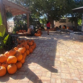 THE LEMON GROVE - Updated October 2025 - 24 Photos & 28 Reviews - 4200 ...