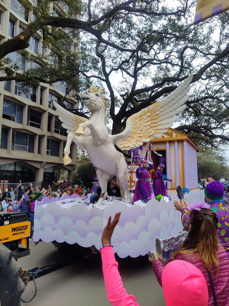 KREWE OF IRIS PARADE - Updated November 2025 - 67 Photos - St Charles ...