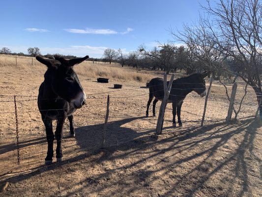 RANCHO LOMA - Updated September 2025 - 37 Photos & 17 Reviews - 2969 Cr ...