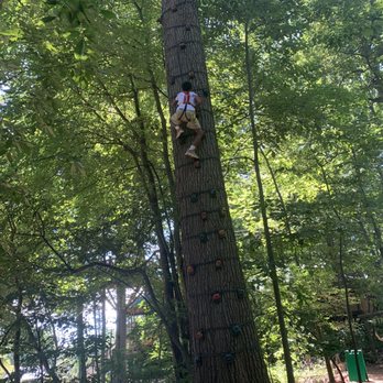 TREEHOUSE WORLD - Updated October 2025 - 118 Photos & 52 Reviews - 1442 ...