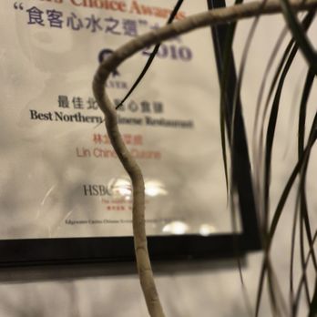 LIN CHINESE CUISINE AND TEA HOUSE - Updated January 2026 - 293 Photos ...