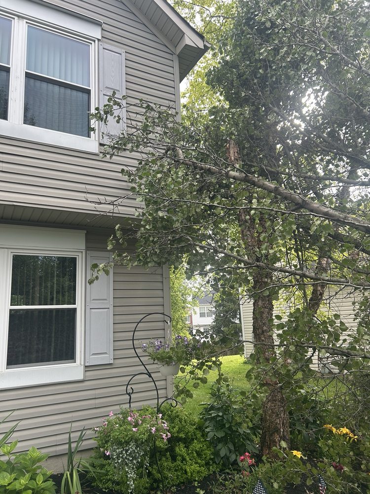 AAA TREE & LANDSCAPING - Updated June 2025 - 2200 Chambersburg Rd ...