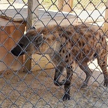 OCTAGON WILDLIFE SANCTUARY - Updated October 2025 - 213 Photos & 45 ...