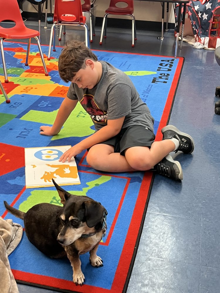 LEARNING SPRINGS ACADEMY - Updated January 2026 - 32 Photos & 42 ...