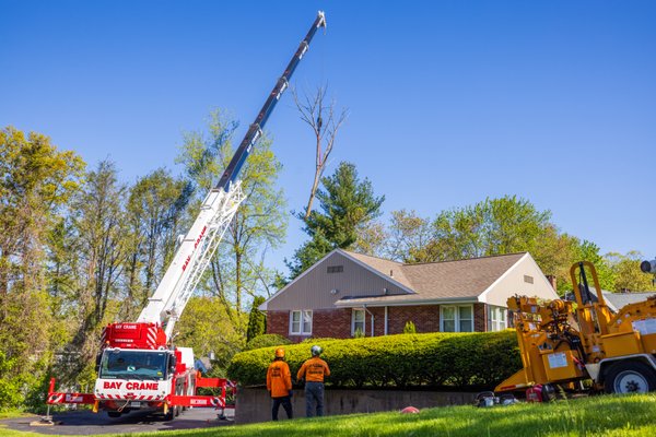 K&J TREE SERVICE - Updated December 2025 - 61 Photos & 38 Reviews - 2 ...