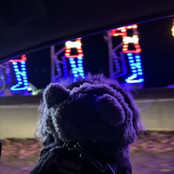 BULL RUN FESTIVAL OF LIGHTS - Updated January 2026 - 382 Photos & 138 ...