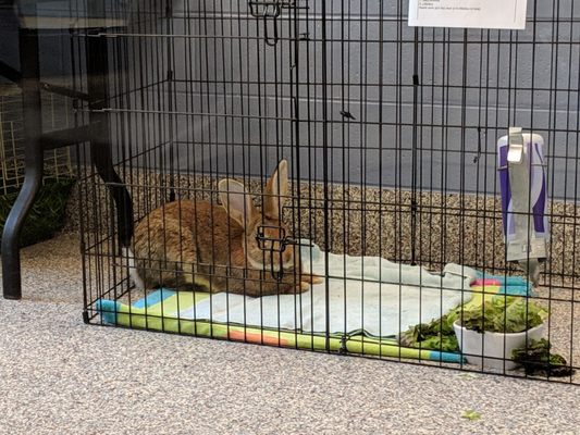 MICHIGAN HUMANE - 38 Photos & 25 Reviews - 37255 Marquette St, Westland ...