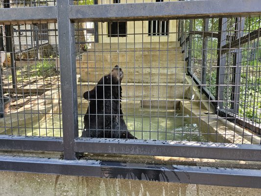 FRANK BUCK ZOO - Updated June 2025 - 258 Photos & 68 Reviews - 1000 W ...