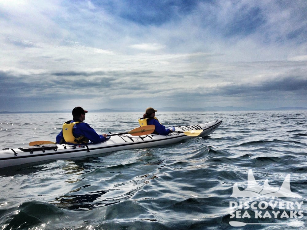 DISCOVERY SEA KAYAKS - Updated August 2025 - 145 Photos & 189 Reviews ...