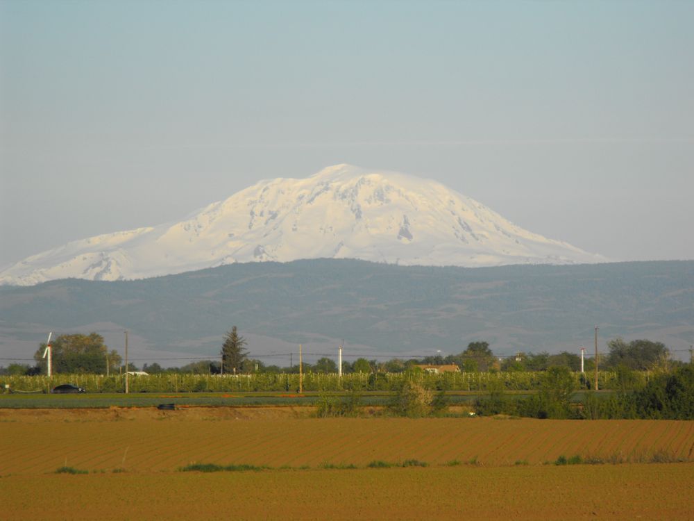 MOUNT ADAMS COUNTRY CLUB - Updated December 2025 - 1250 Rocky Ford Rd ...