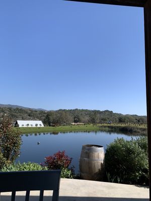 TESTA VINEYARDS - Updated March 2025 - 113 Photos & 49 Reviews - 6400 N ...