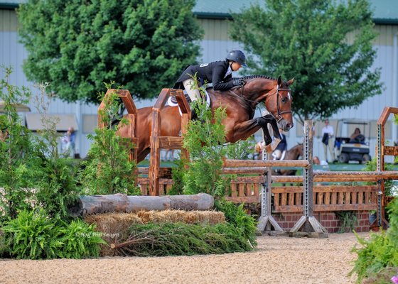 TOP FLIGHT STABLES - Updated December 2024 - 34 Photos - 1608 Wildlife ...