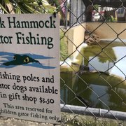 BLACK HAMMOCK ADVENTURES - 159 Photos & 65 Reviews - Boating - 2356 ...