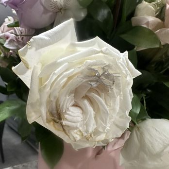 LEX&ROSES - Updated July 2024 - 116 Photos & 23 Reviews - 2164 NE 123rd ...