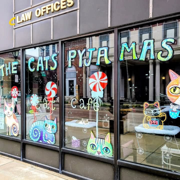 THE CATS’ PYJAMAS CAT CAFÉ - Updated September 2025 - 524 E Capitol Ave ...