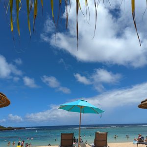 TURTLE BAY BEACH - Updated July 2025 - 421 Photos & 153 Reviews - 57-35 ...