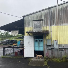 TIN SHACK BAKERY - Updated July 2025 - 250 Photos & 280 Reviews - 15 ...