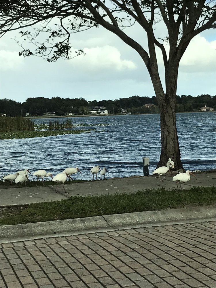 CITY OF OCOEE - 22 Photos - Local Flavor - 150 N Lakeshore D, Ocoee, FL ...