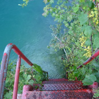 TROUT LAKE PARK - Updated December 2025 - 54 Photos - 51 George Street ...