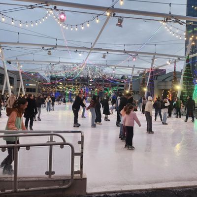 GALLIVAN CENTER - Updated July 2025 - 136 Photos & 79 Reviews - 239 S ...