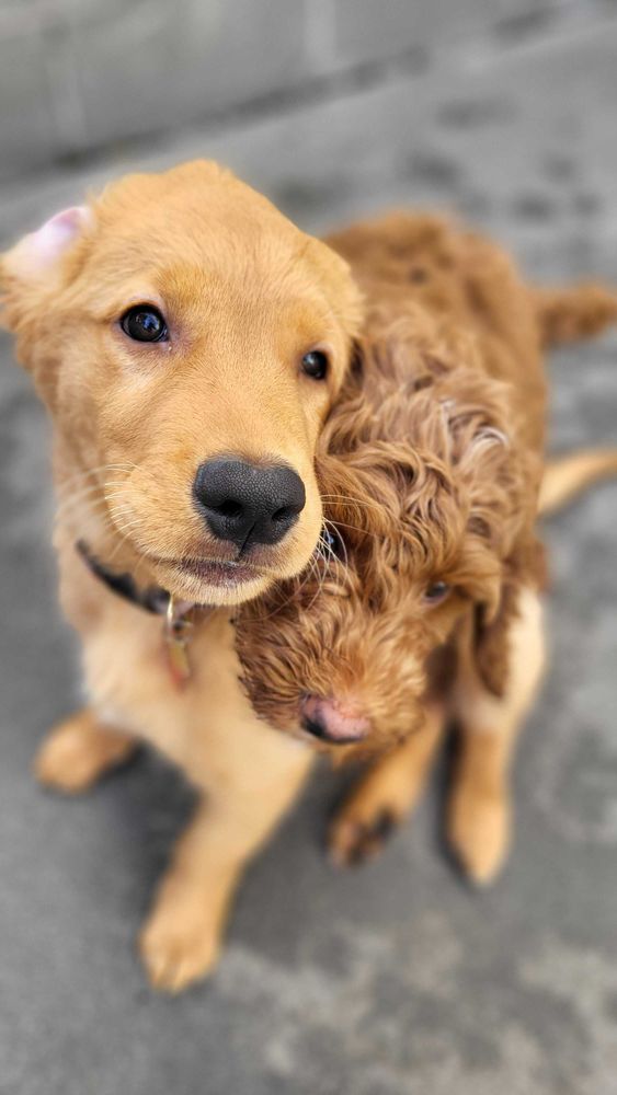 SMARTYPUP! - Updated January 2026 - 90 Photos & 48 Reviews - 3119 ...