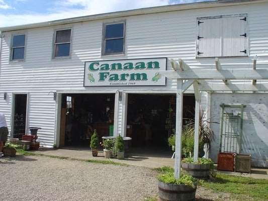 TENDERCROP FARM - Updated December 2025 - 10 Photos & 35 Reviews - 93 ...