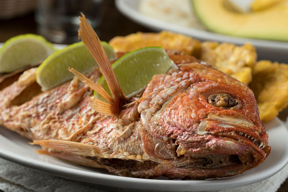 MONSERRATE RESTAURANTE - 142 Photos & 148 Reviews - 9545 NW 41st St ...